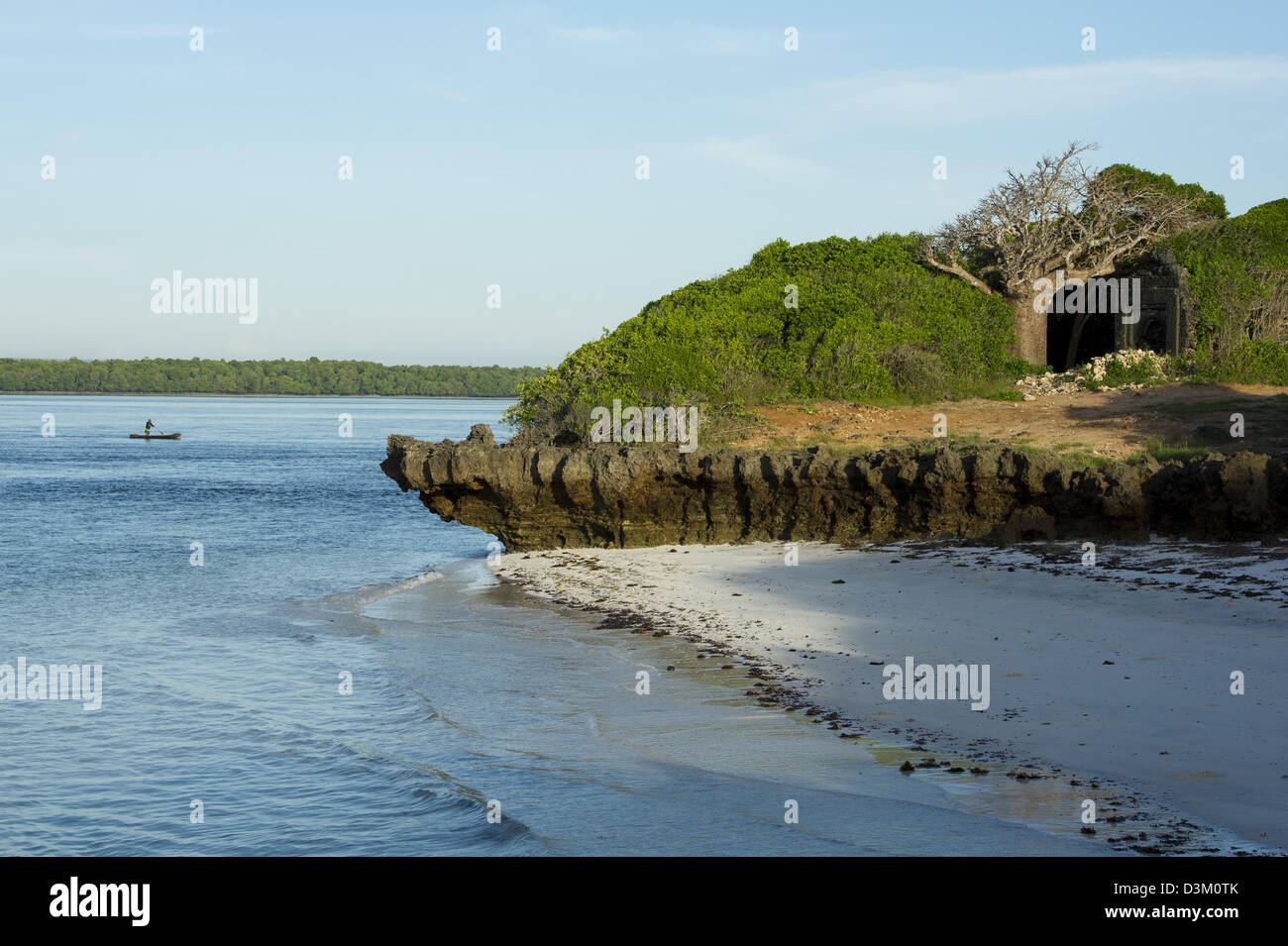Turtle kenya hi-res stock photography and images - Alamy
