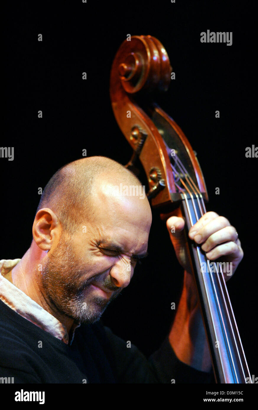 (dpa) - Jazz bass player David Piltch performs on stage during the ...