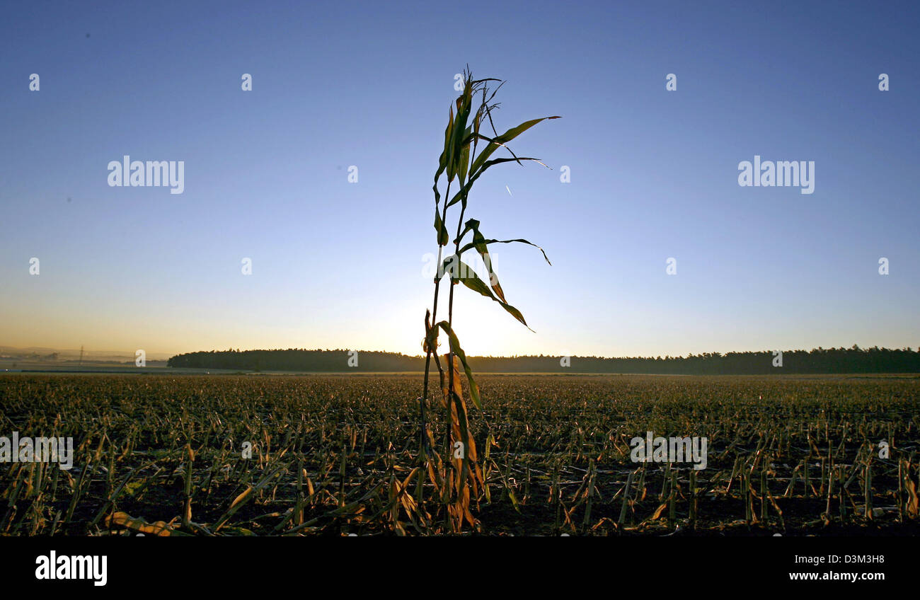 Deu Single Feature High Resolution Stock Photography and Images - Alamy