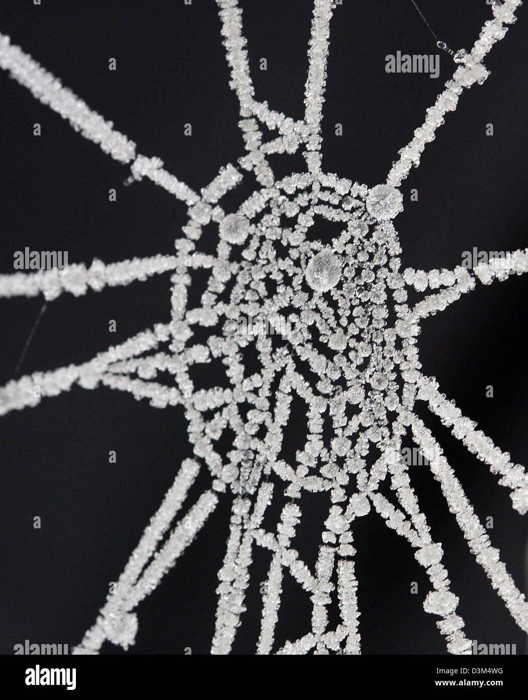 Glazed frost hi-res stock photography and images - Alamy