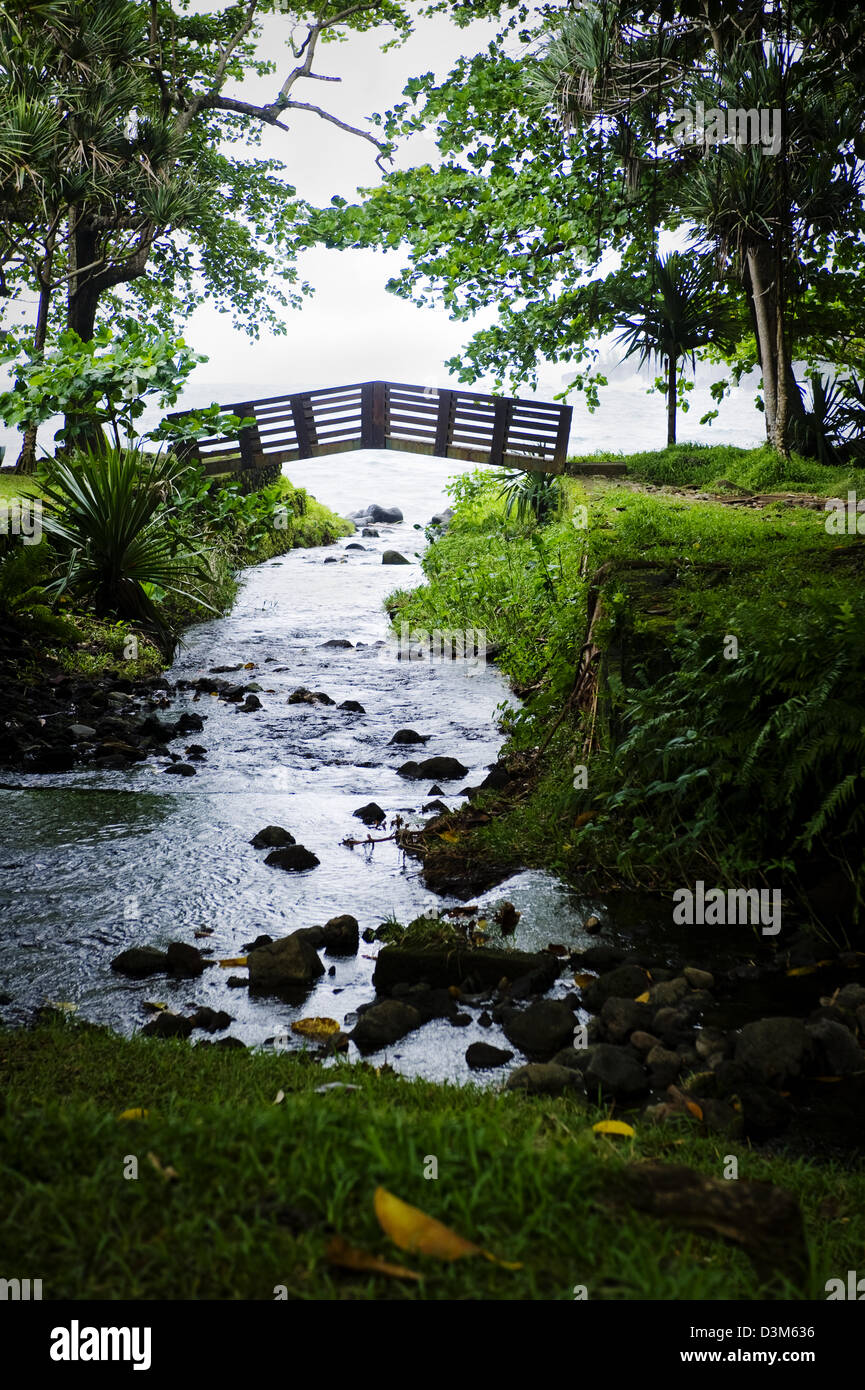 Reunion bridge coast greenery hi-res stock photography and images - Alamy