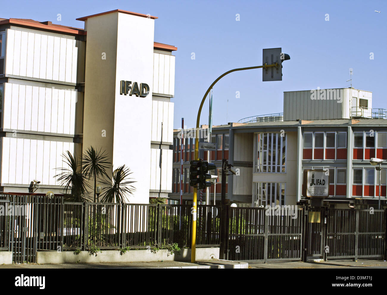 Economy business finance ebf social issues soi ifad building palm trees ...