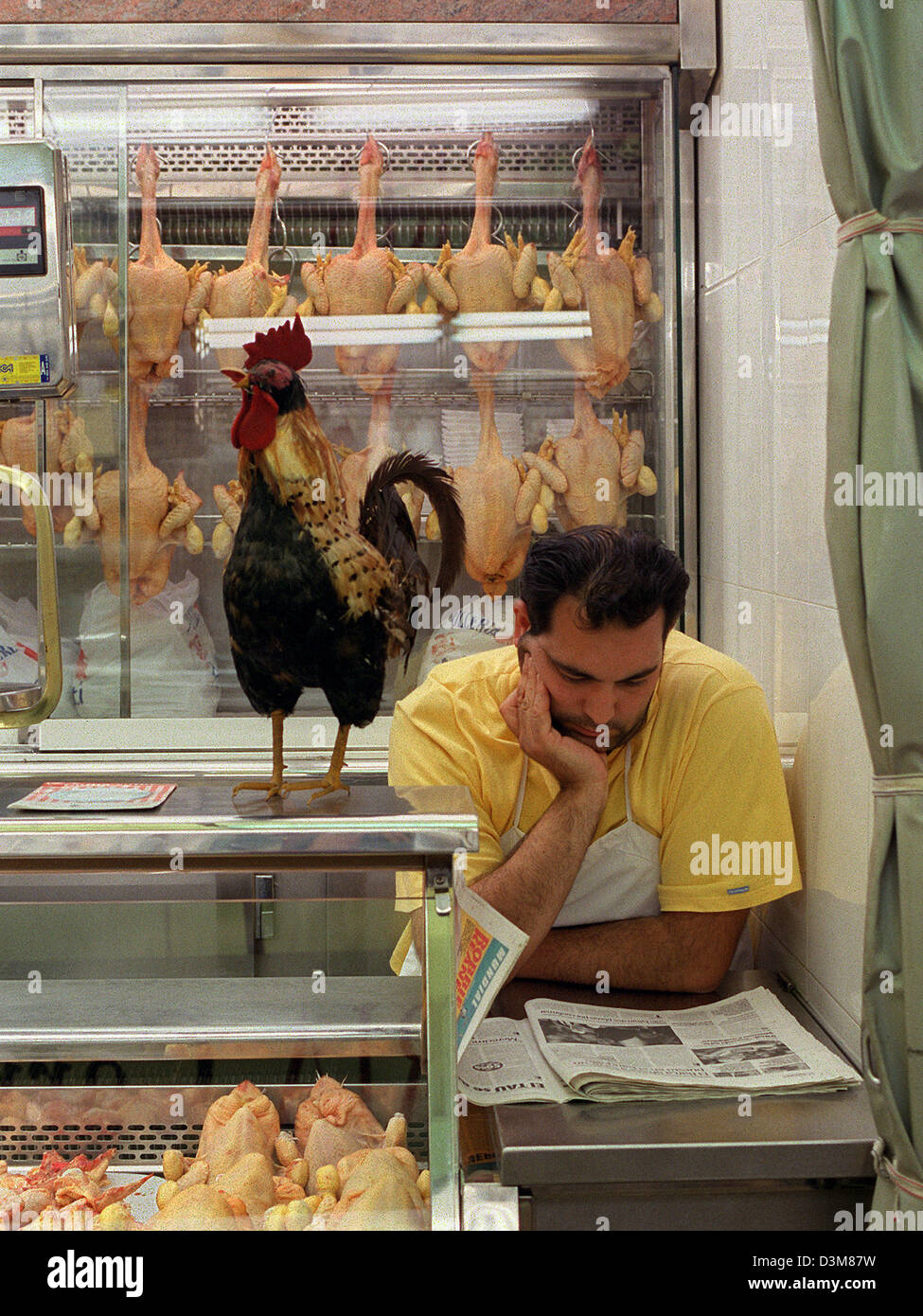 Poultry Butcher High Resolution Stock Photography and Images - Alamy