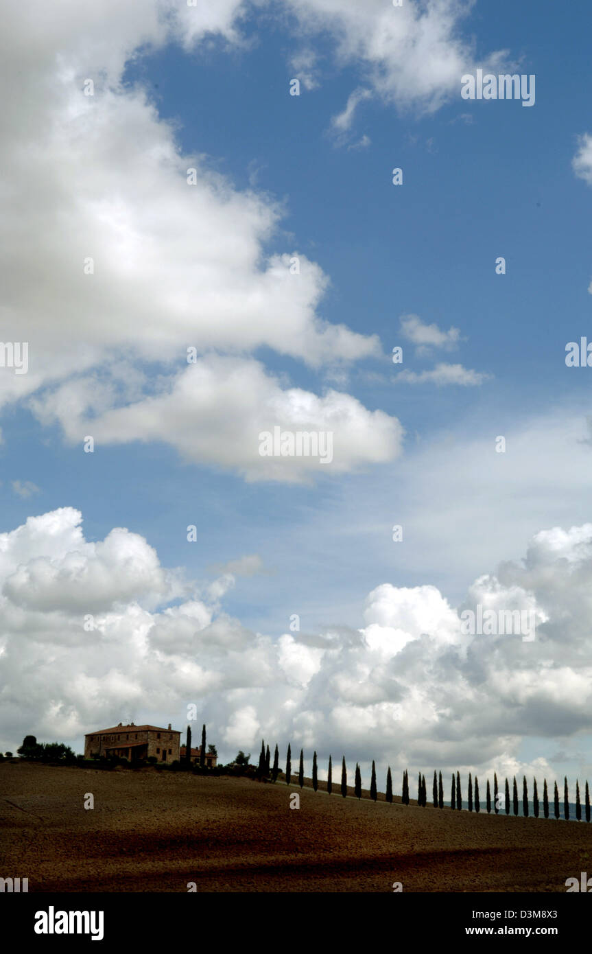 (dpa) - The picture shows a typical Tuscanian landscape near Siena ...