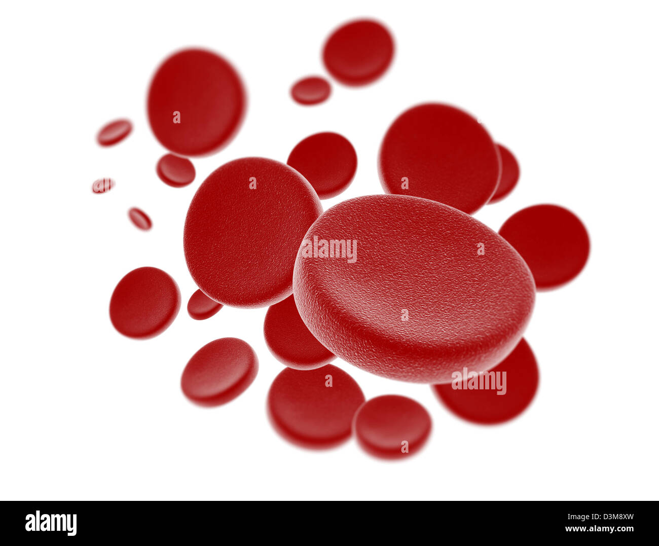 Blood cells isolated on white background Stock Photo - Alamy