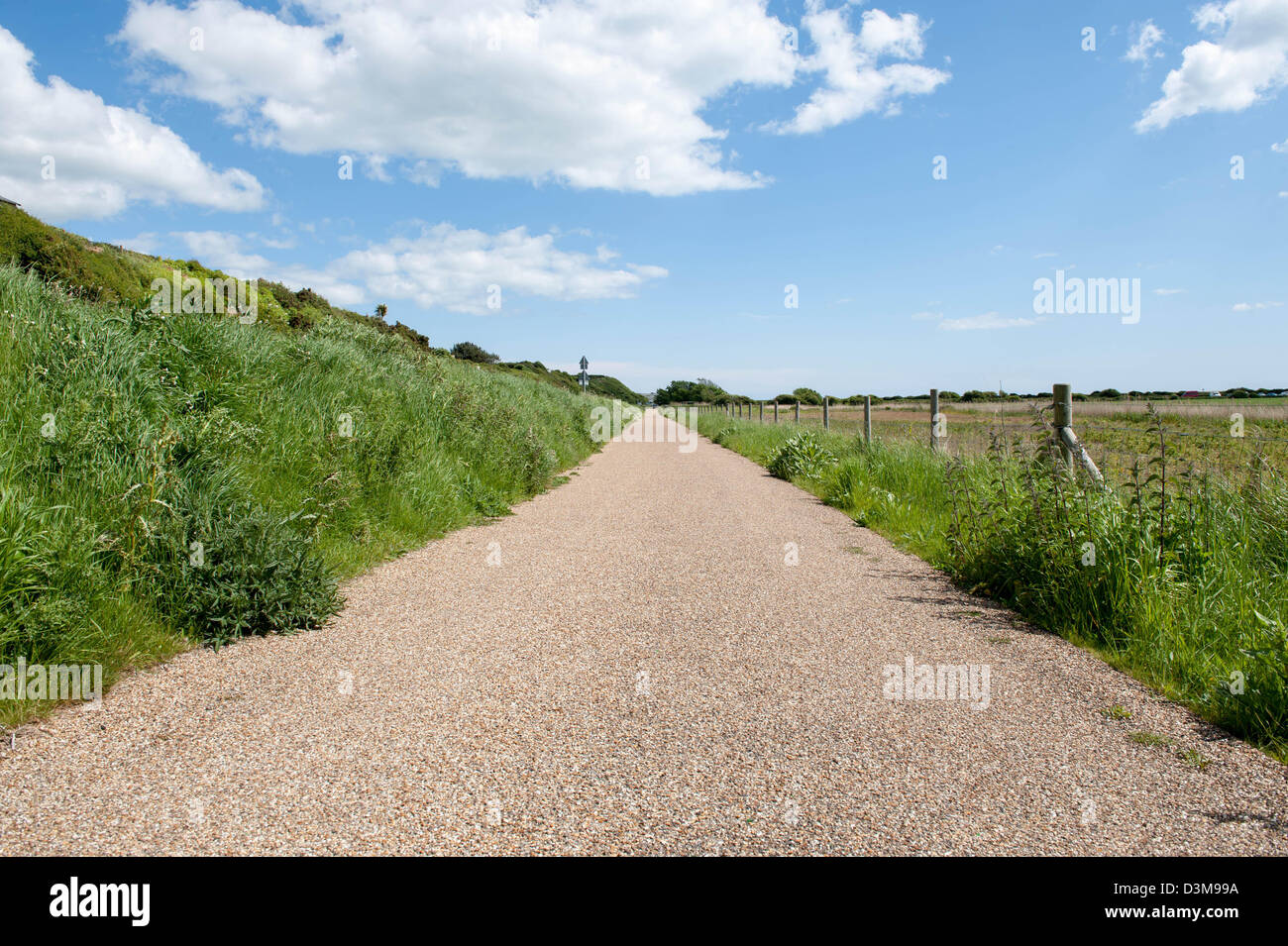 Cycle Path in Summer Stock Photo - Alamy