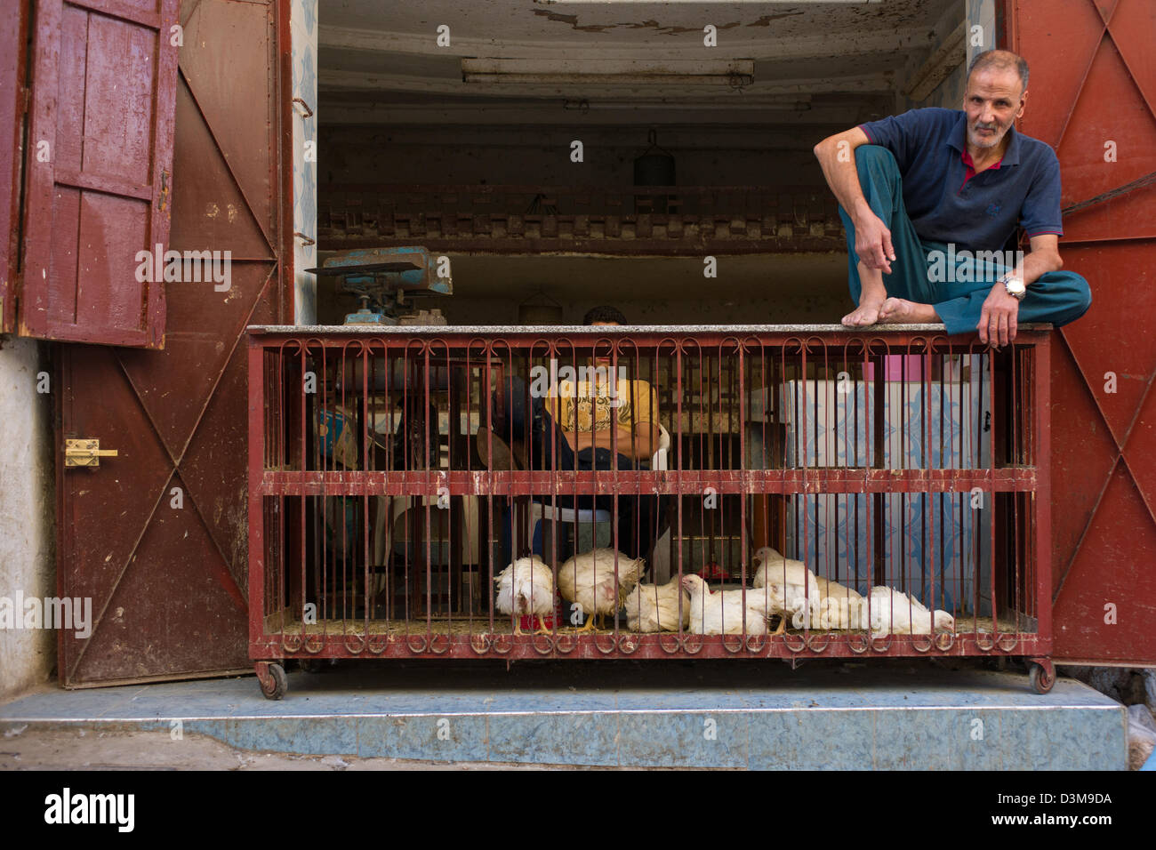 Live chickens hi-res stock photography and images - Alamy