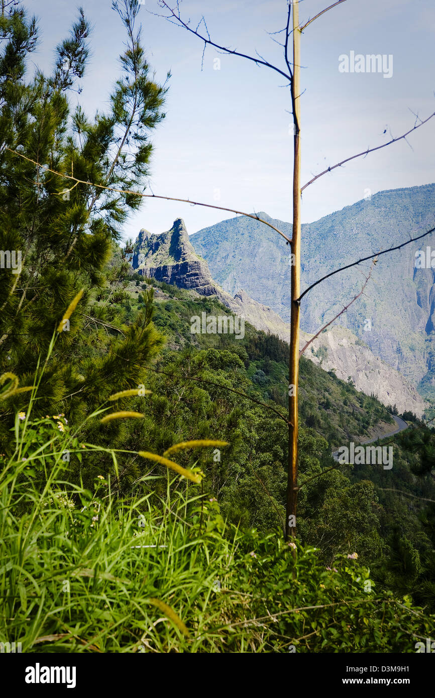 Creole Nature Trail High Resolution Stock Photography and Images - Alamy