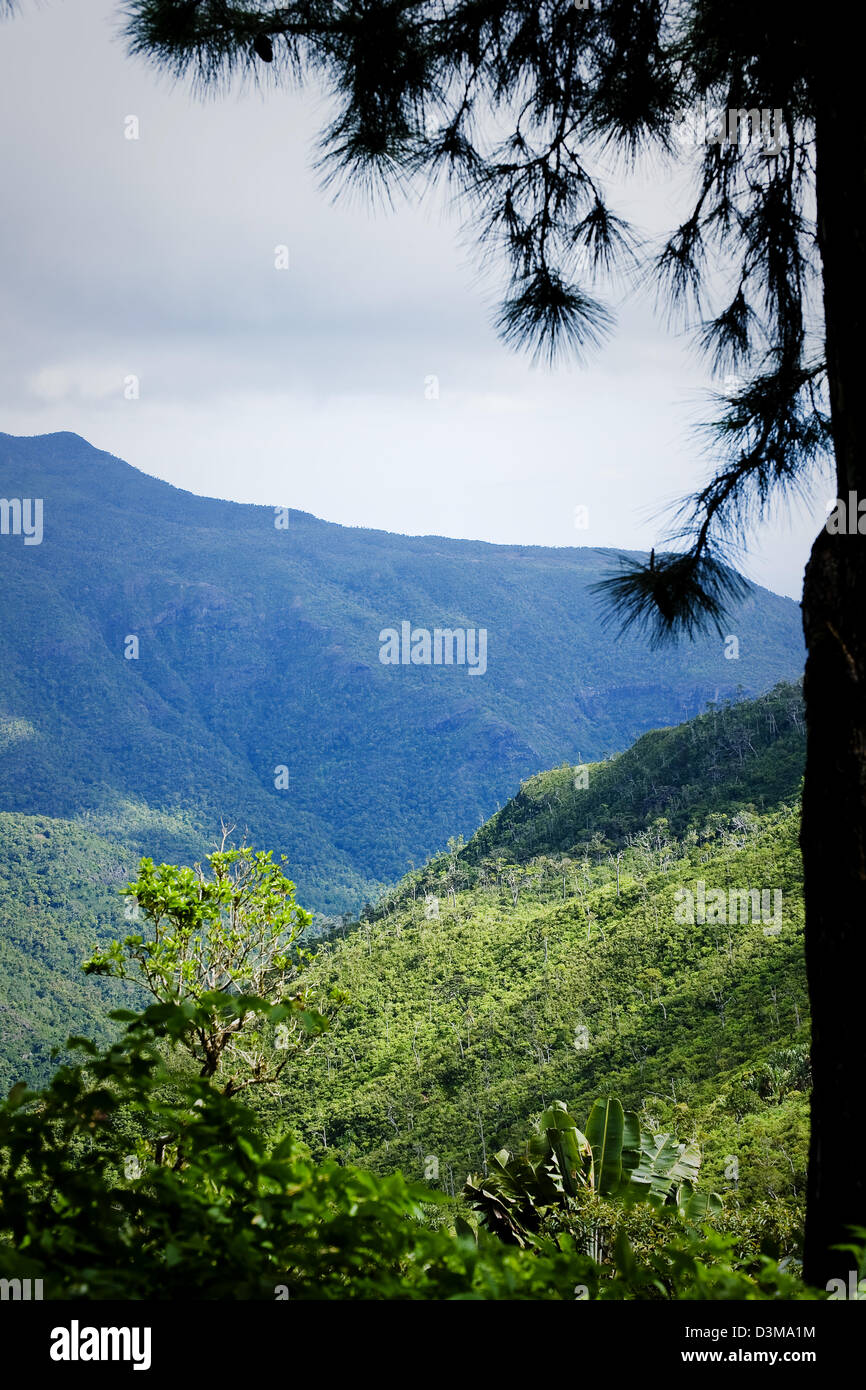 Black river gorge viewpoint hi-res stock photography and images - Alamy