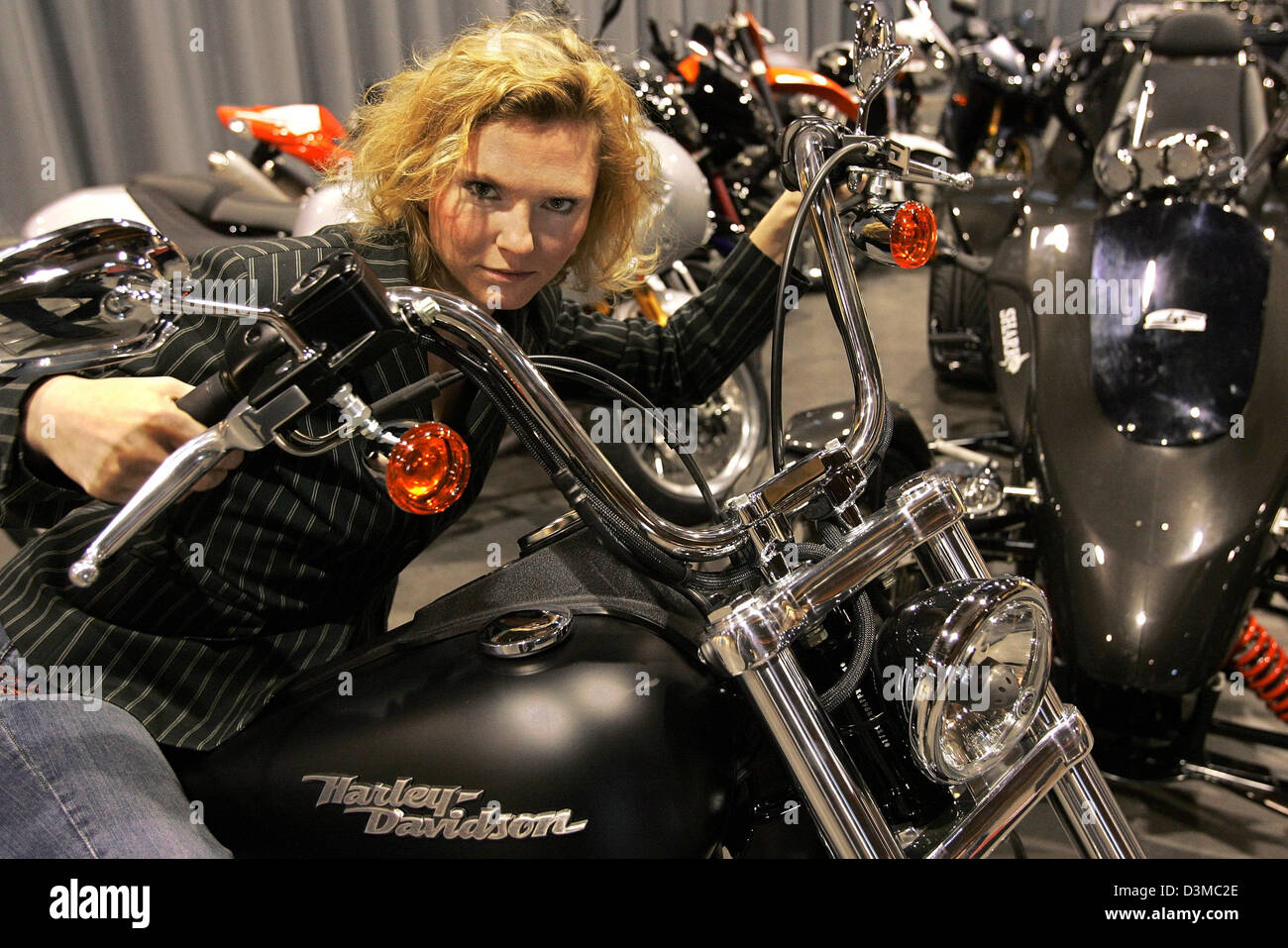 Harley davidson models hi-res stock photography and images - Alamy