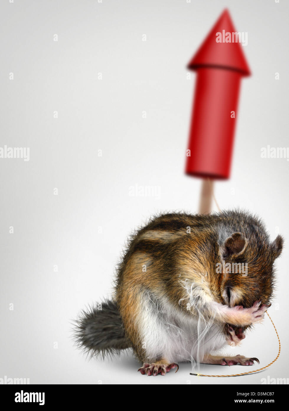 Funny chipmunk with fireworks hi-res stock photography and images - Alamy