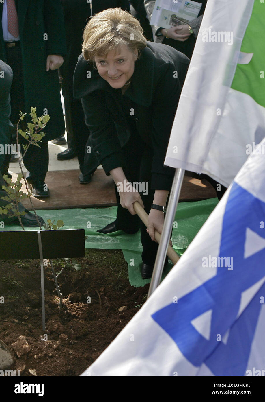 German Chancellor Angela Merkel plants an olive tree at the so-called ...