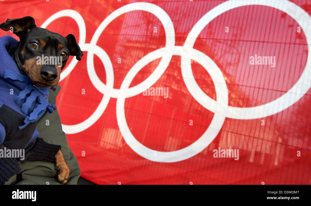 The picture shows a small dog getting carried around in front of the ...