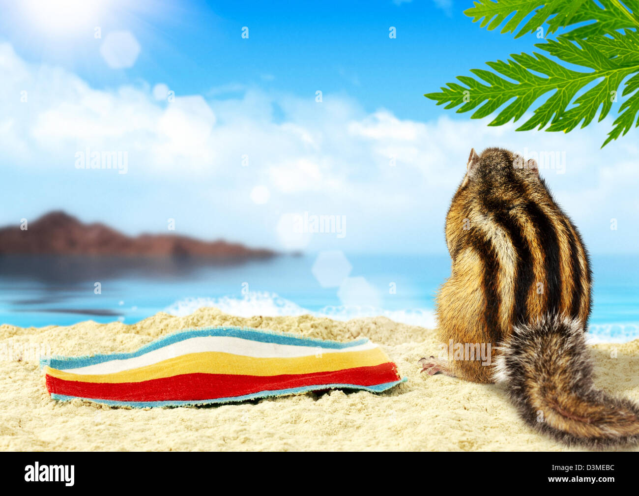 Chipmunk sunbathes on the beach, vacation concept Stock Photo - Alamy