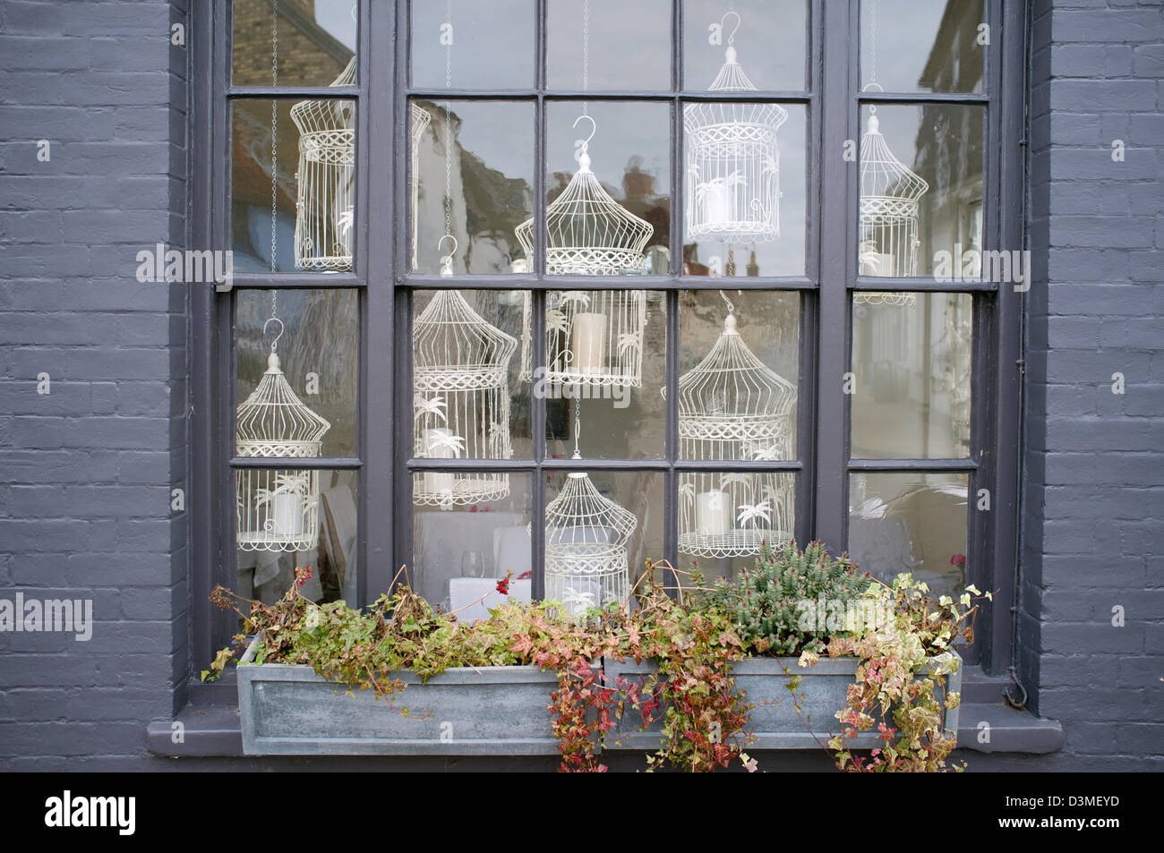Bird cages on display in restaurant window Stock Photo - Alamy