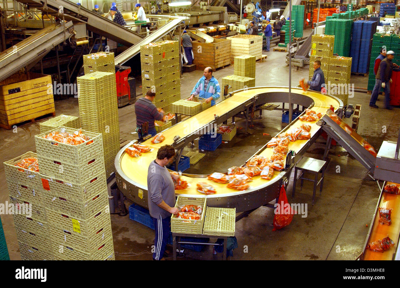 The picture shows the area where carrots are sorted and package on ...