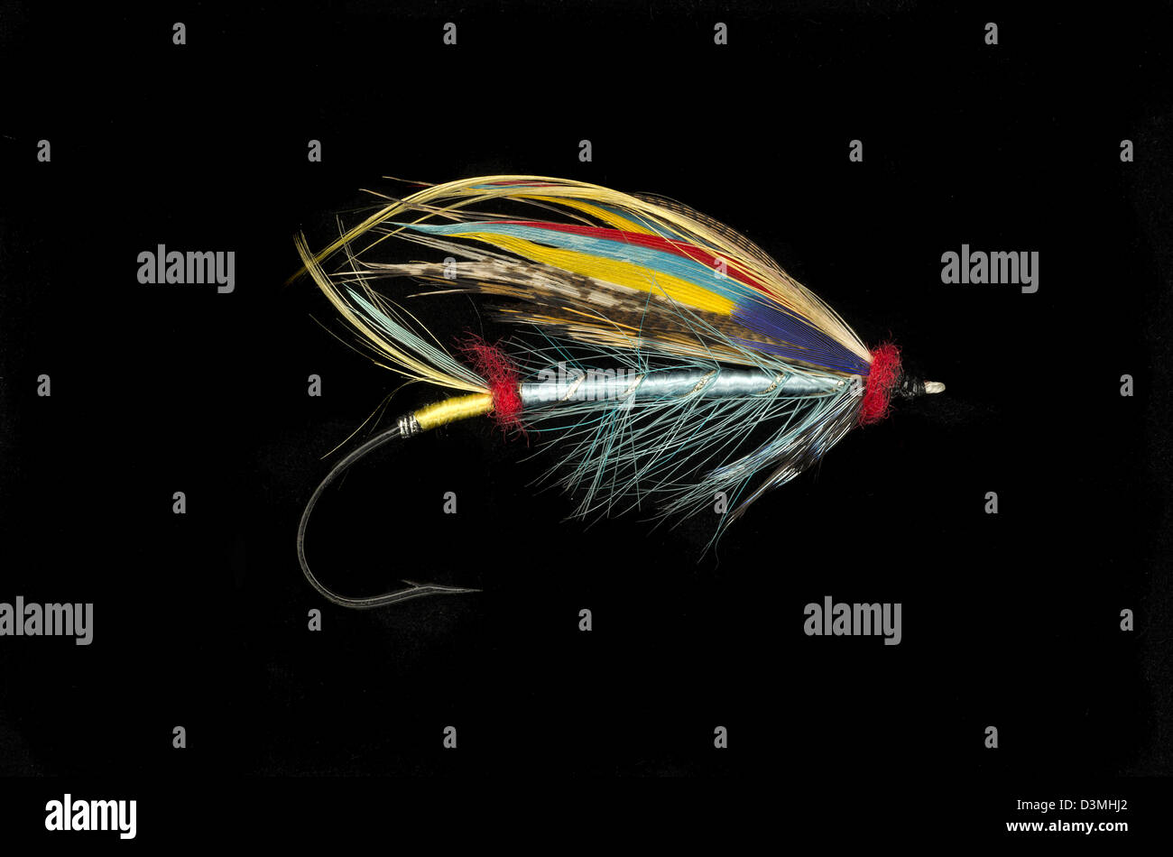 Classic Salmon Fly The Blue Doctor Stock Photo - Alamy