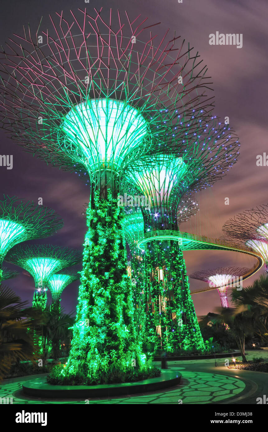 Singapore tree hi-res stock photography and images - Alamy