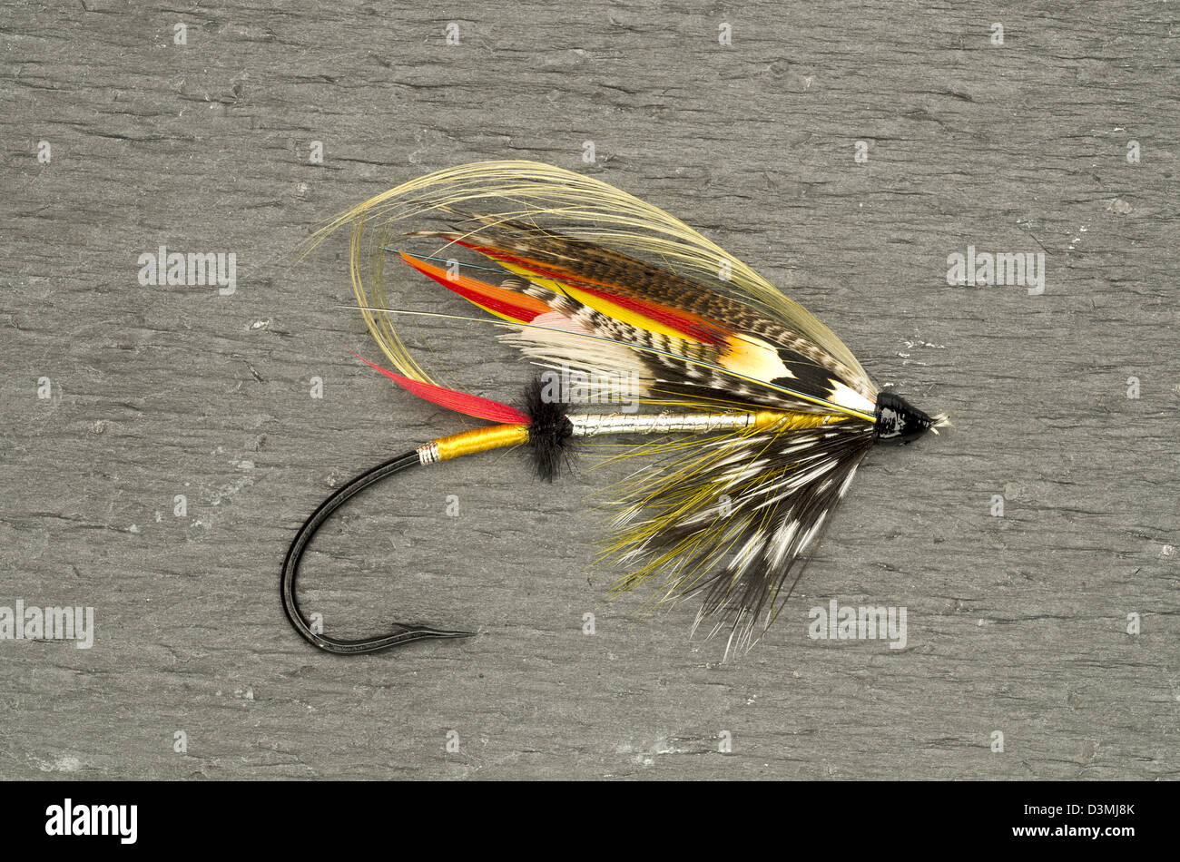 Classic Salmon Fly The Dusty Miller Stock Photo - Alamy
