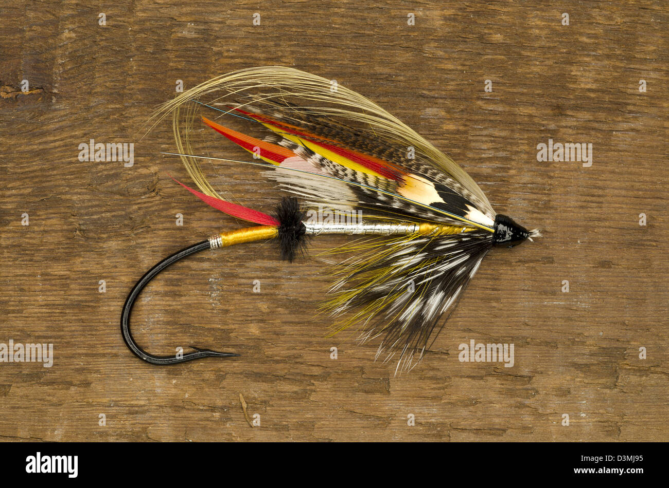 Classic Salmon Fly The Dusty Miller Stock Photo - Alamy