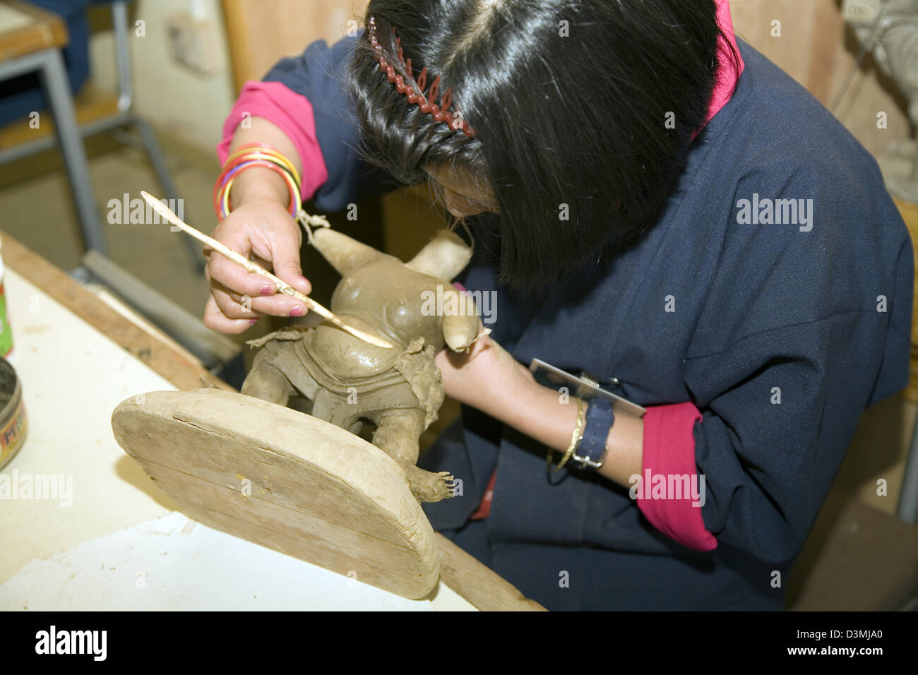 National institute for zorig chusum hi-res stock photography and images ...