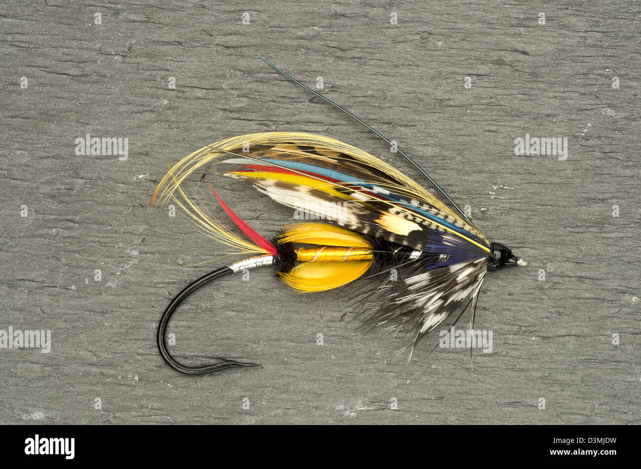 Classic Salmon Fly The Jock Scott Stock Photo - Alamy