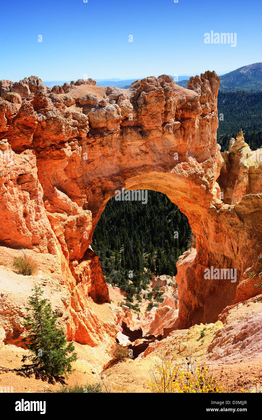 Usa natural bridge stone hi-res stock photography and images - Alamy