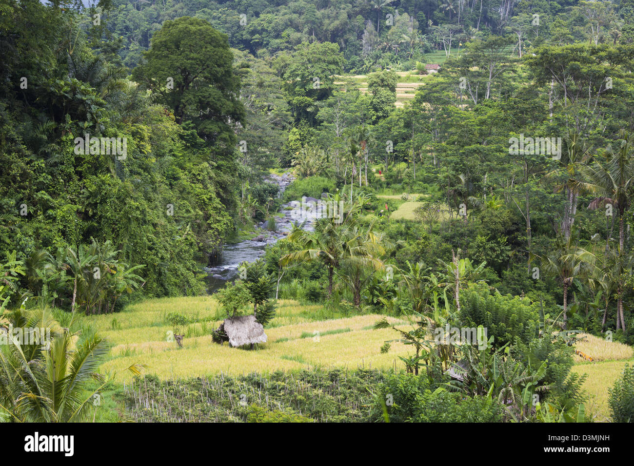 Rural views off of Sideman Road in Bali, Indonesia Stock Photo - Alamy
