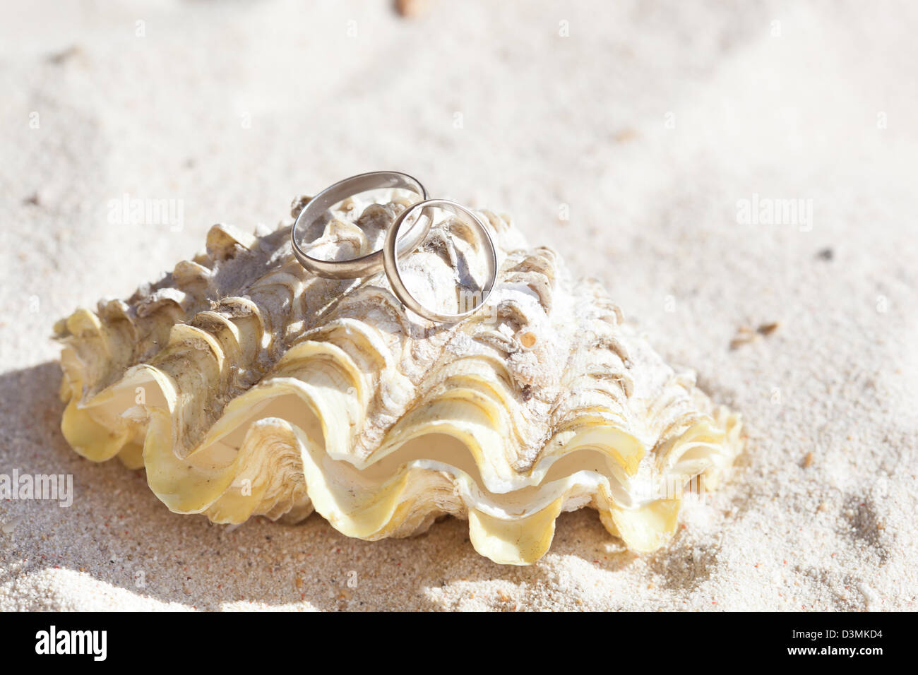 Celebration Valentine's day on beach, rings on shell Stock Photo - Alamy
