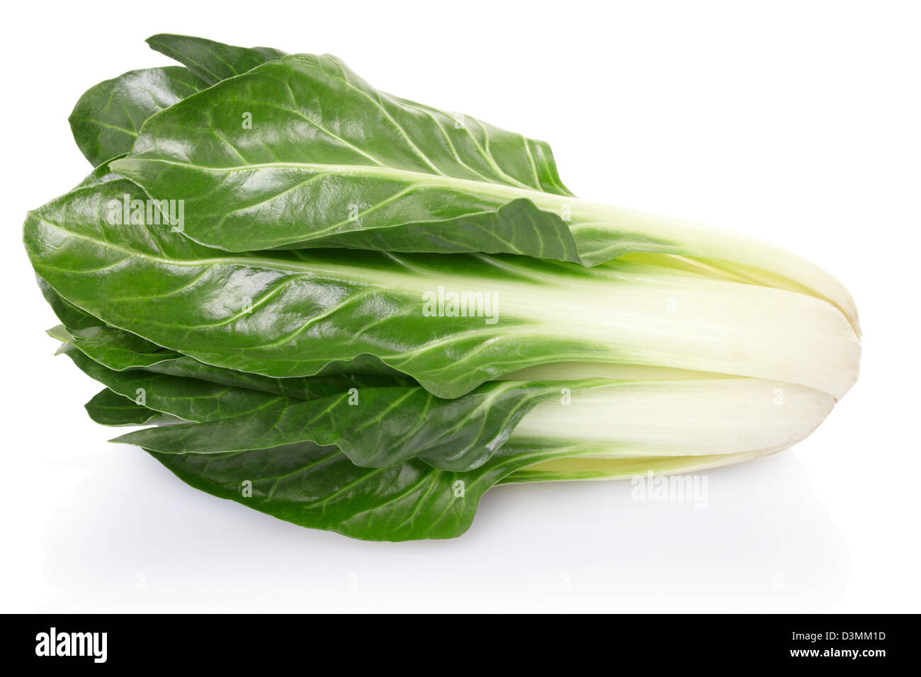 Beet or beta vulgaris Stock Photo - Alamy