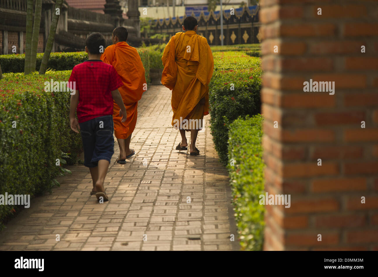 Two Buddhist monks and a boy walk down a brick pathway between green ...