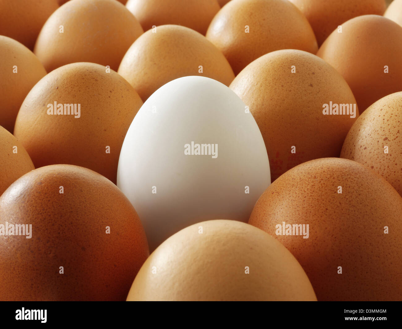 Eggs special hi-res stock photography and images - Alamy