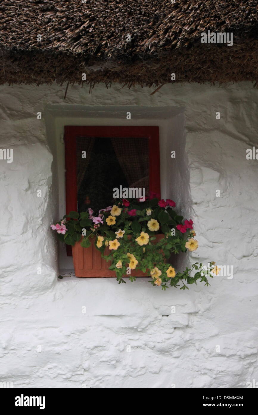 co county galway, small window on a rural irish thatched house with ...