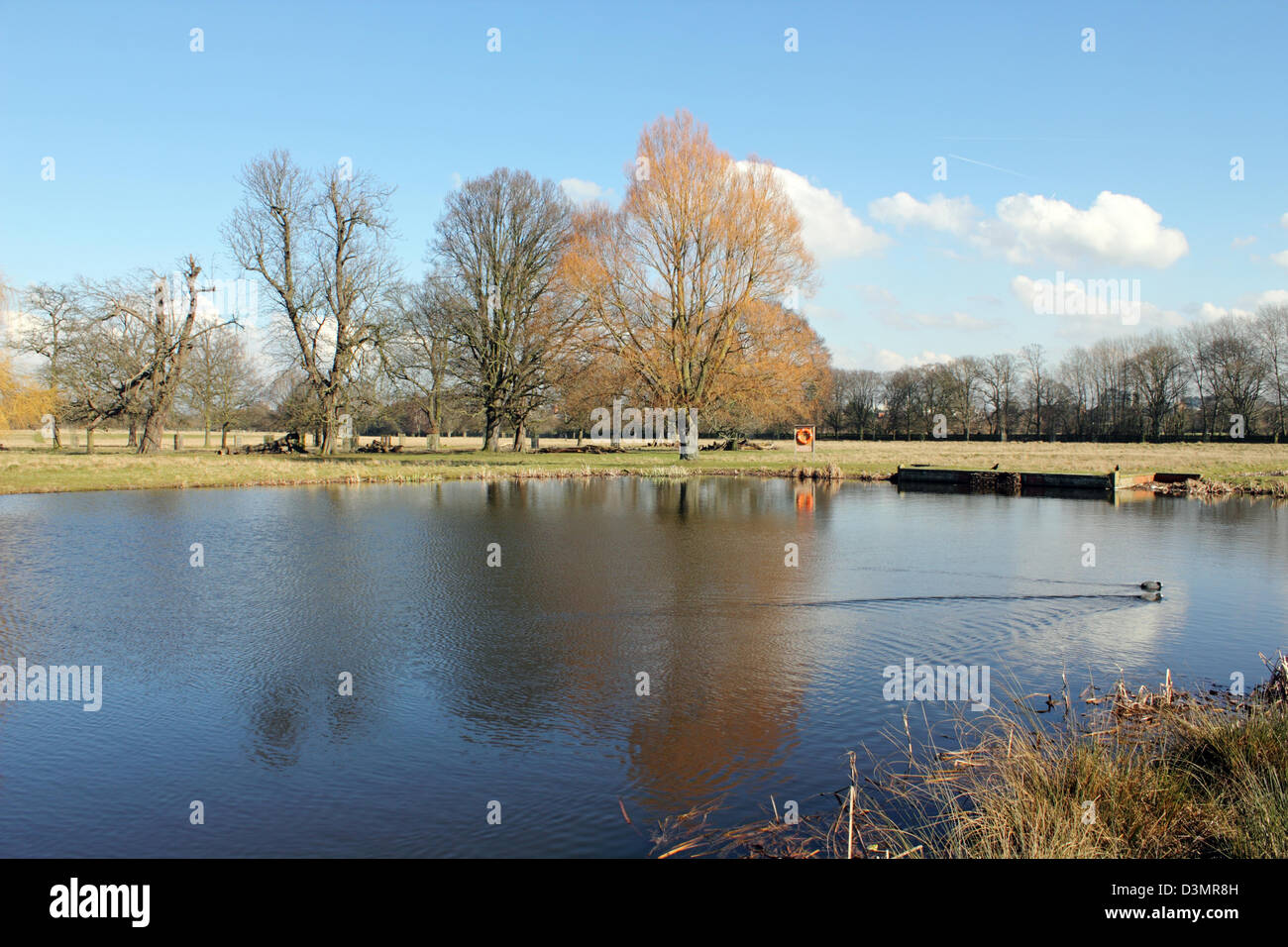 The Overflow Ponds Hampton Court Park (Home Park), England UK Stock ...