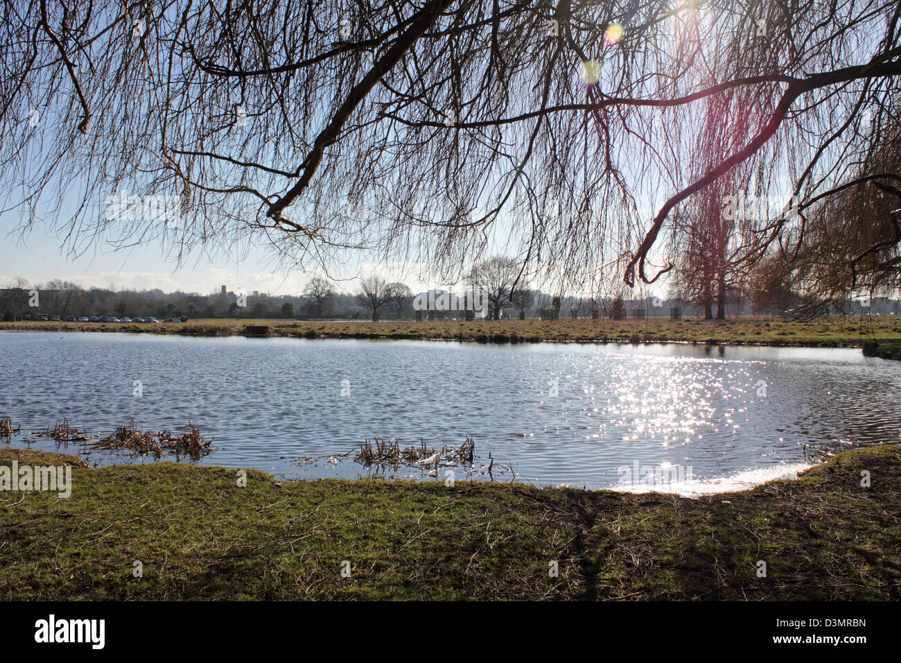 The Overflow Ponds Hampton Court Park (Home Park), England UK Stock ...