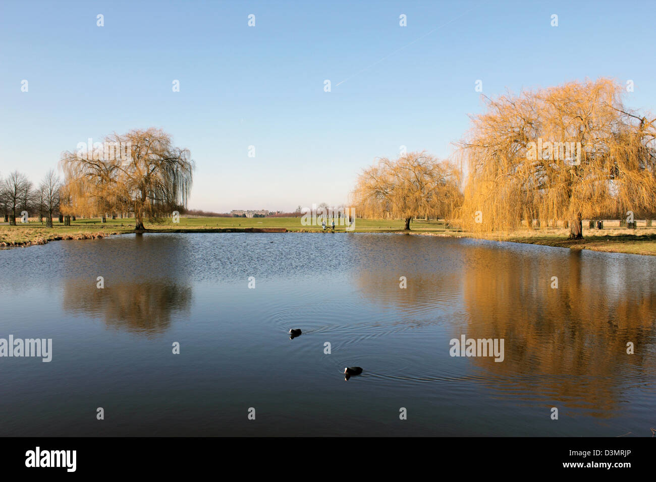 The Overflow Ponds Hampton Court Park (Home Park), England UK Stock ...