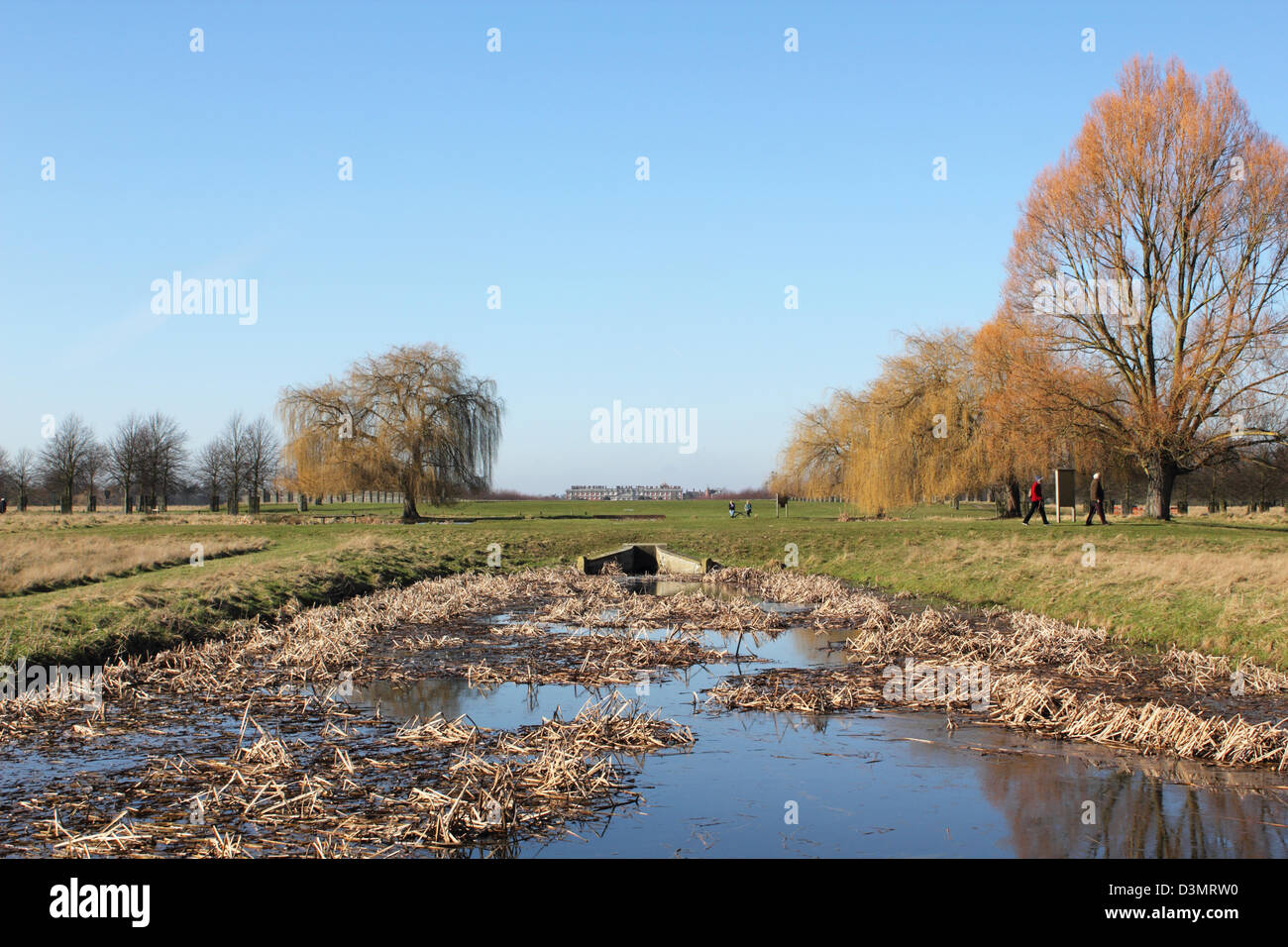 The Overflow Ponds Hampton Court Park (Home Park), England UK Stock ...
