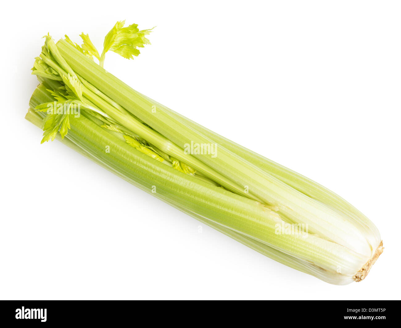 whole fresh celery isolated on white background Stock Photo - Alamy