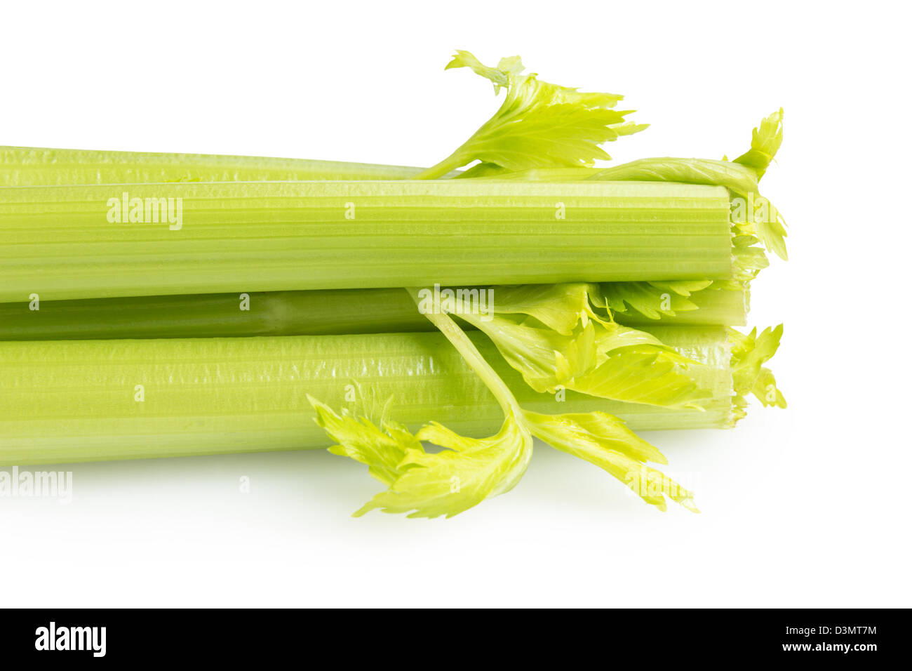 whole fresh celery isolated on white background Stock Photo - Alamy