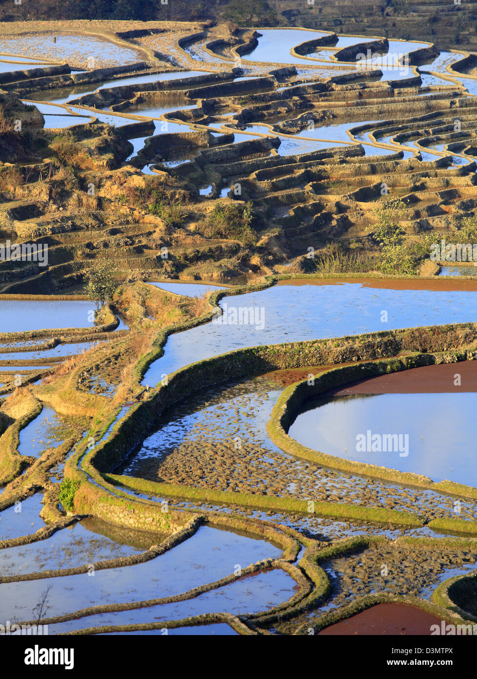 Yuanyang terraces china hi-res stock photography and images - Alamy