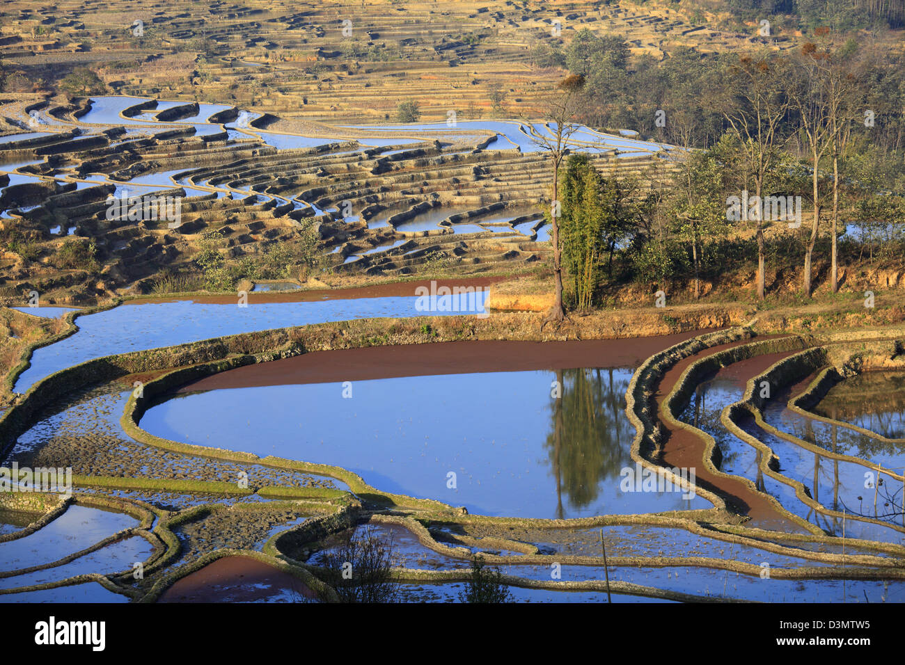 Yuanyang rice terraces hi-res stock photography and images - Alamy