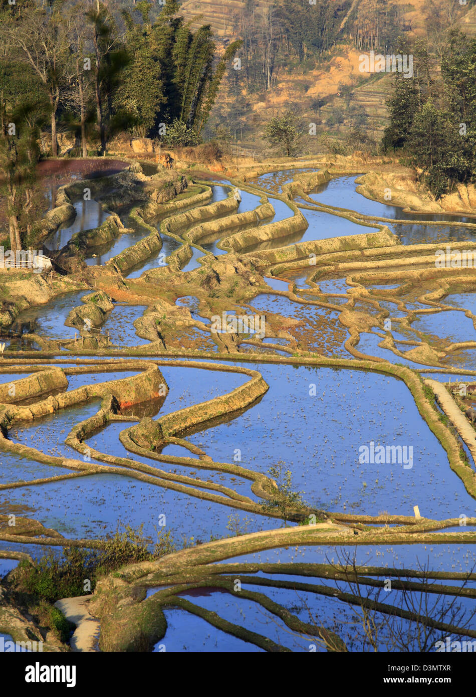 Rice terraces yuanyang yunnan china hi-res stock photography and images ...