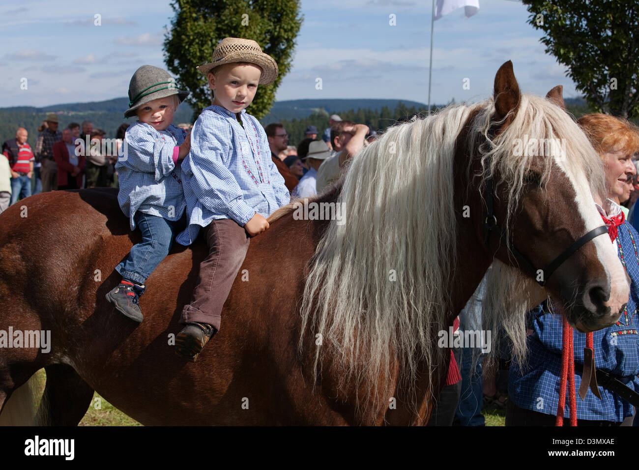 Black forest cold blood hi-res stock photography and images - Alamy
