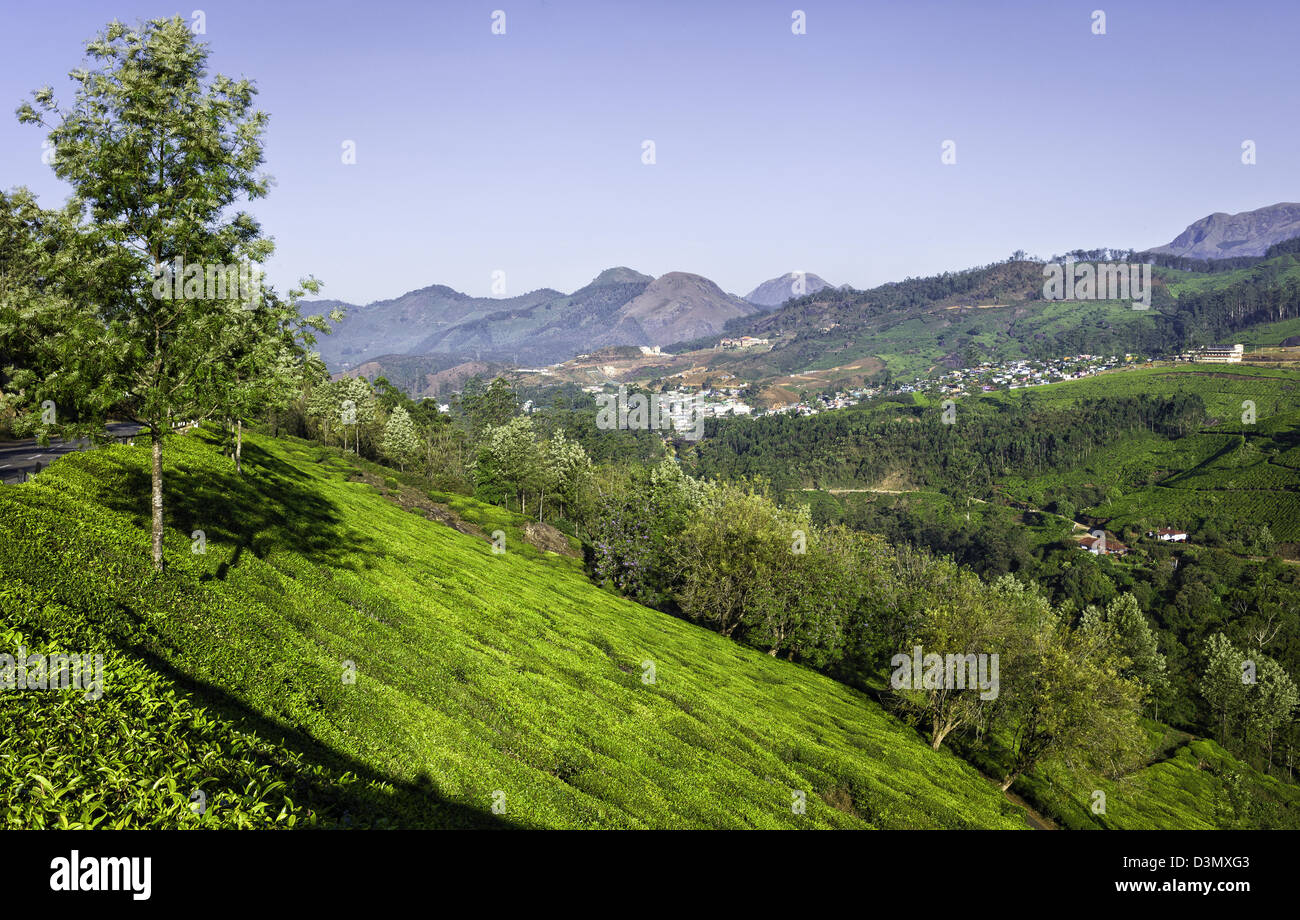 Munnar town hi-res stock photography and images - Alamy