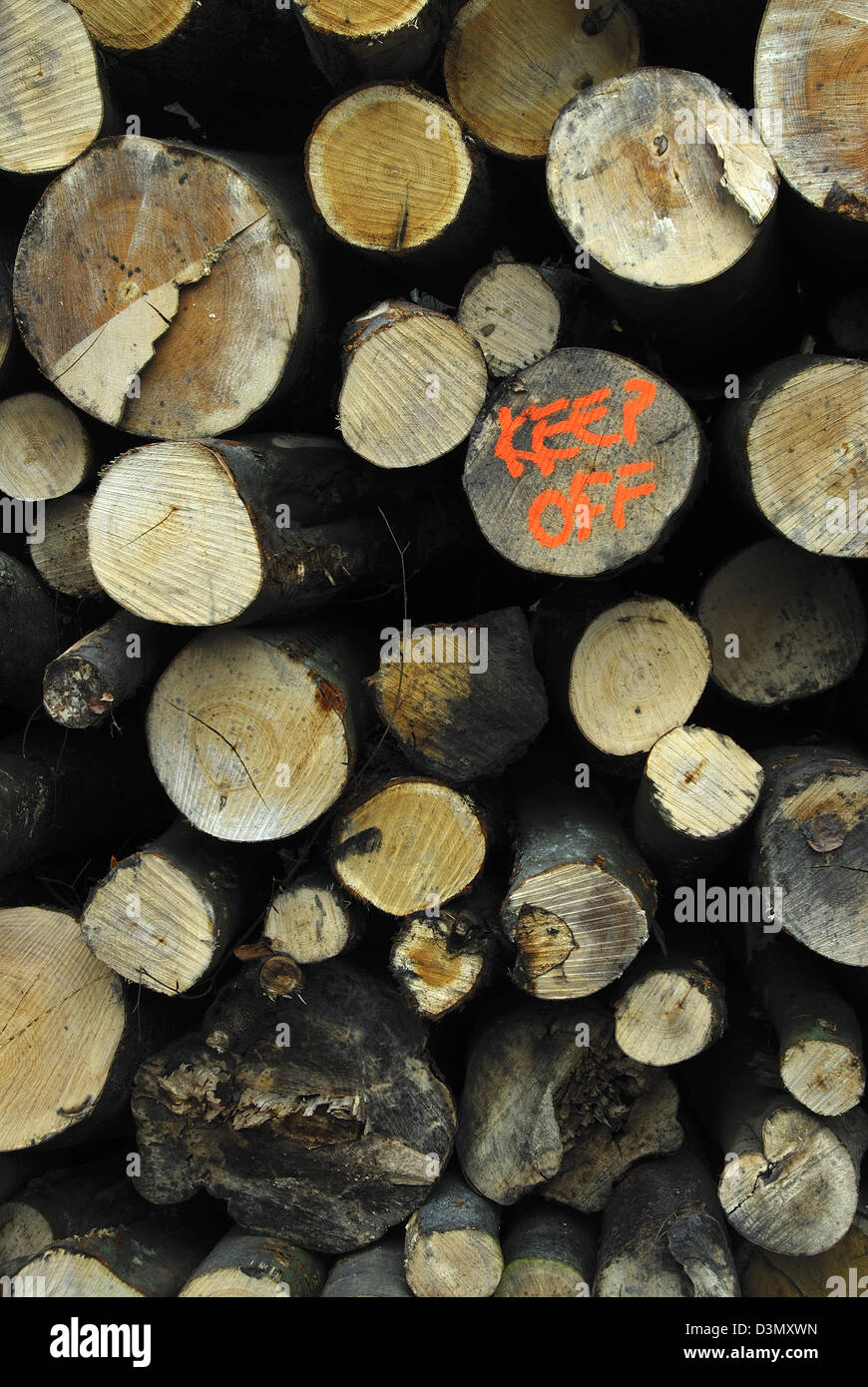 A stack of cut wood Stock Photo - Alamy