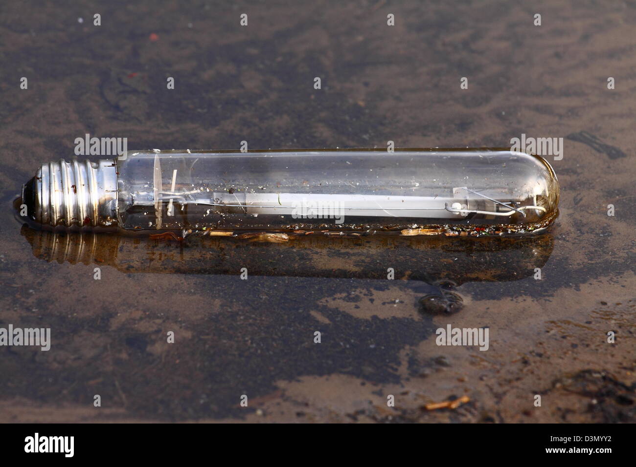 Discarded sodium bulb at lakeside Stock Photo - Alamy