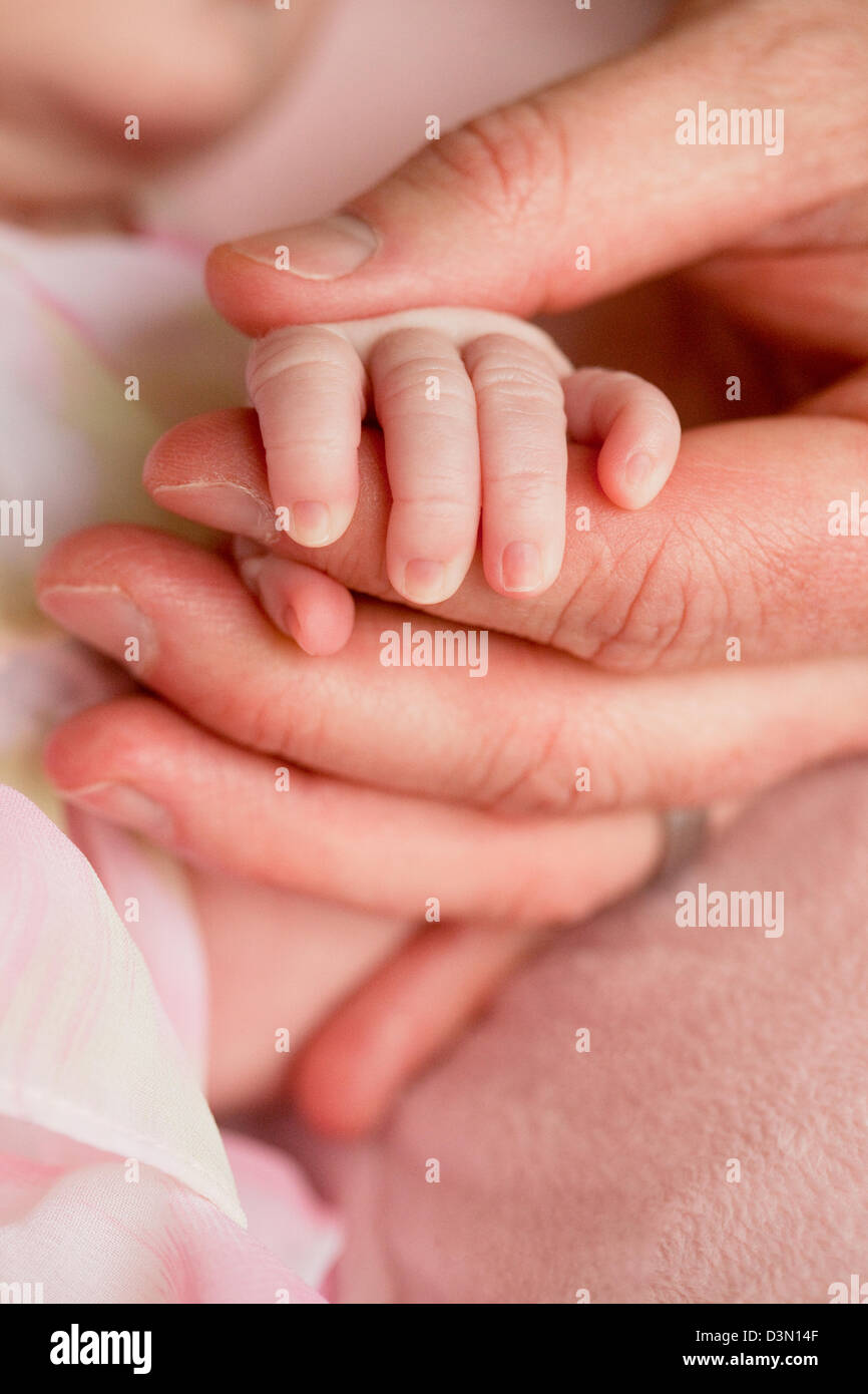 newborn, baby, girl, hand parent Stock Photo - Alamy