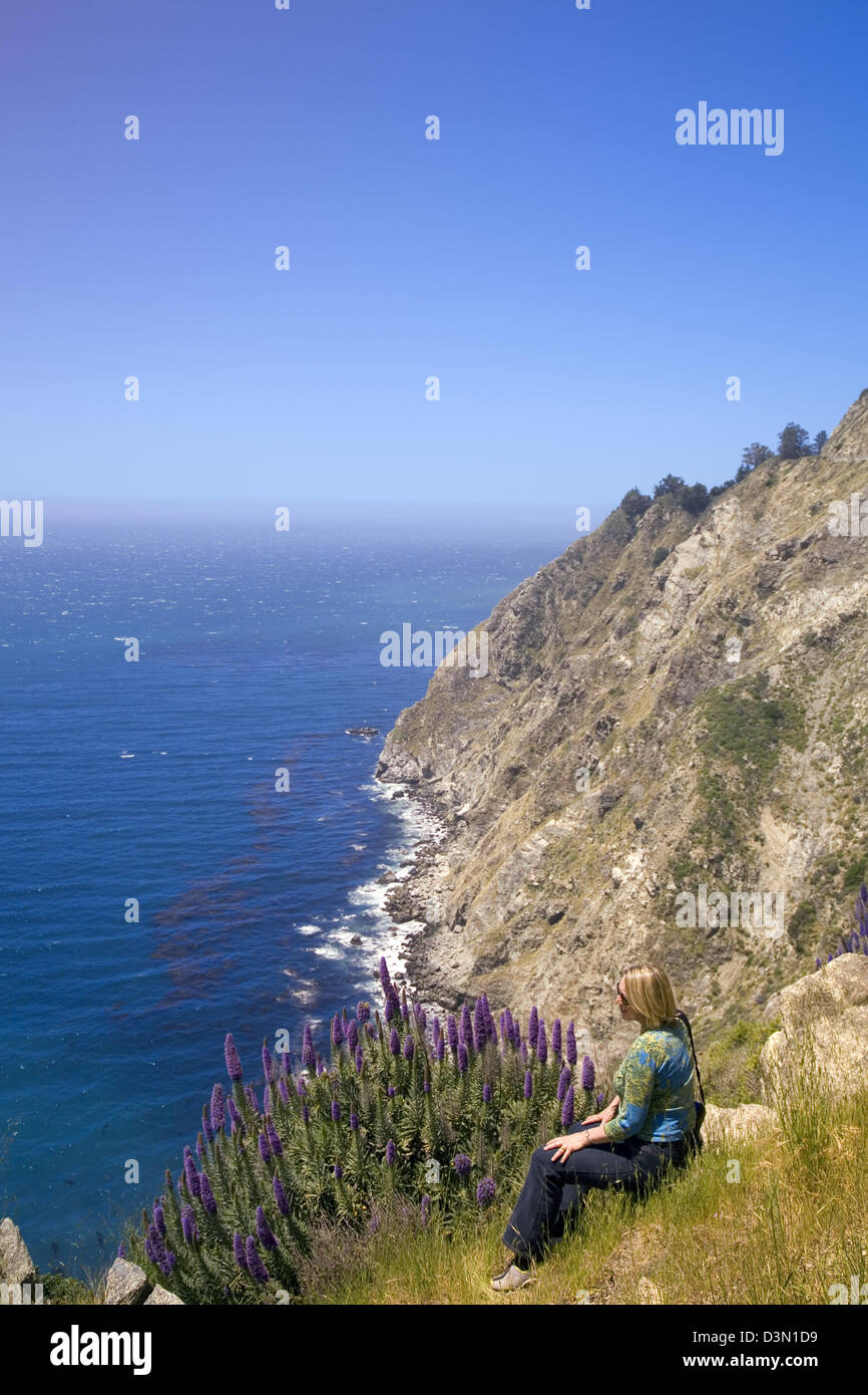 Relaxing in big sur highway hi-res stock photography and images - Alamy