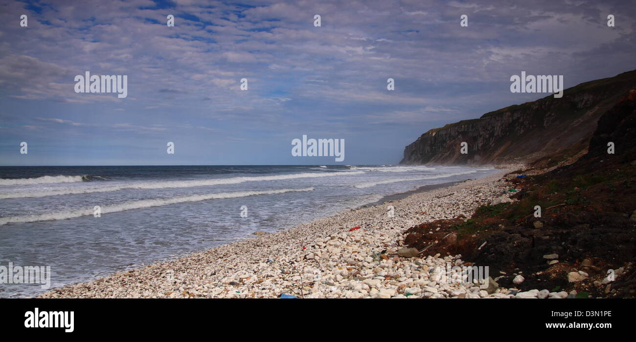 Speeton beach hi-res stock photography and images - Alamy