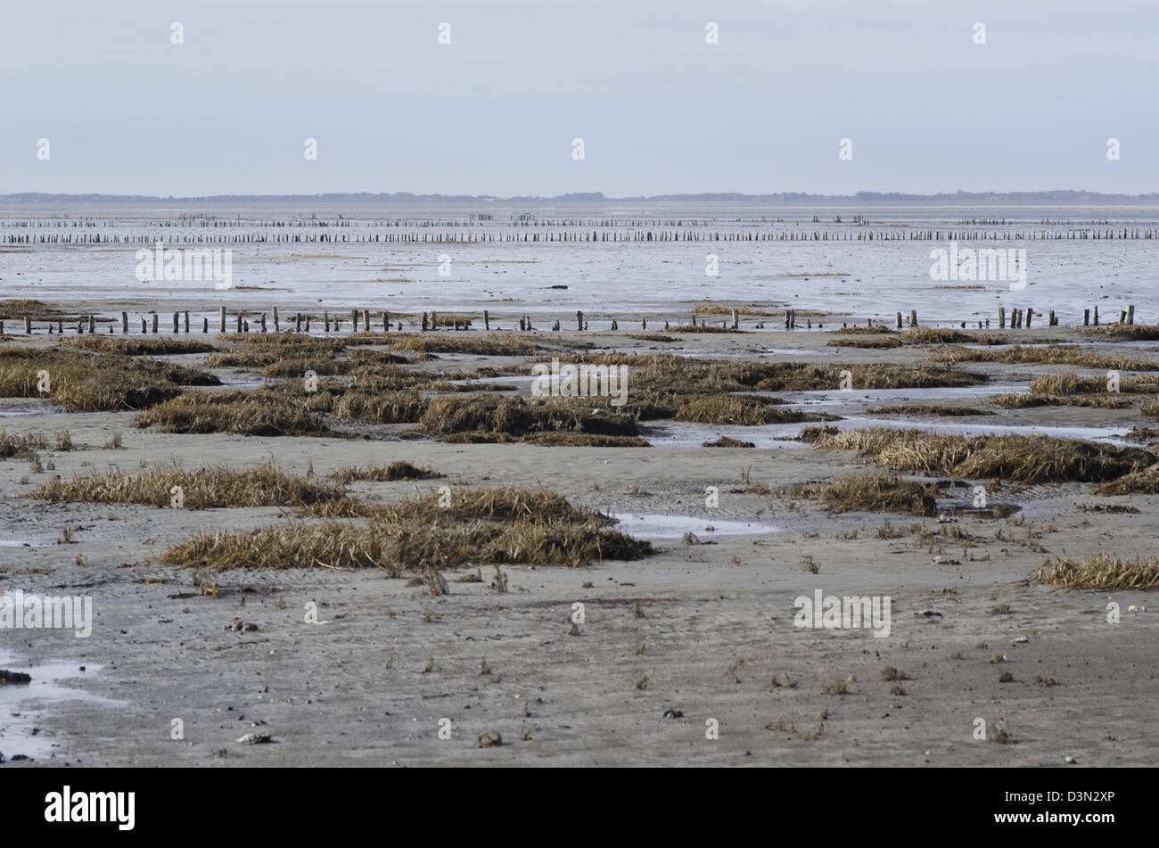 Intertidal zone hi-res stock photography and images - Alamy